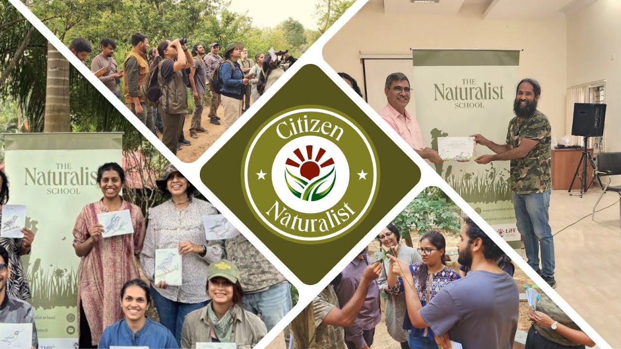 Citizen Naturalist - The Naturalist School